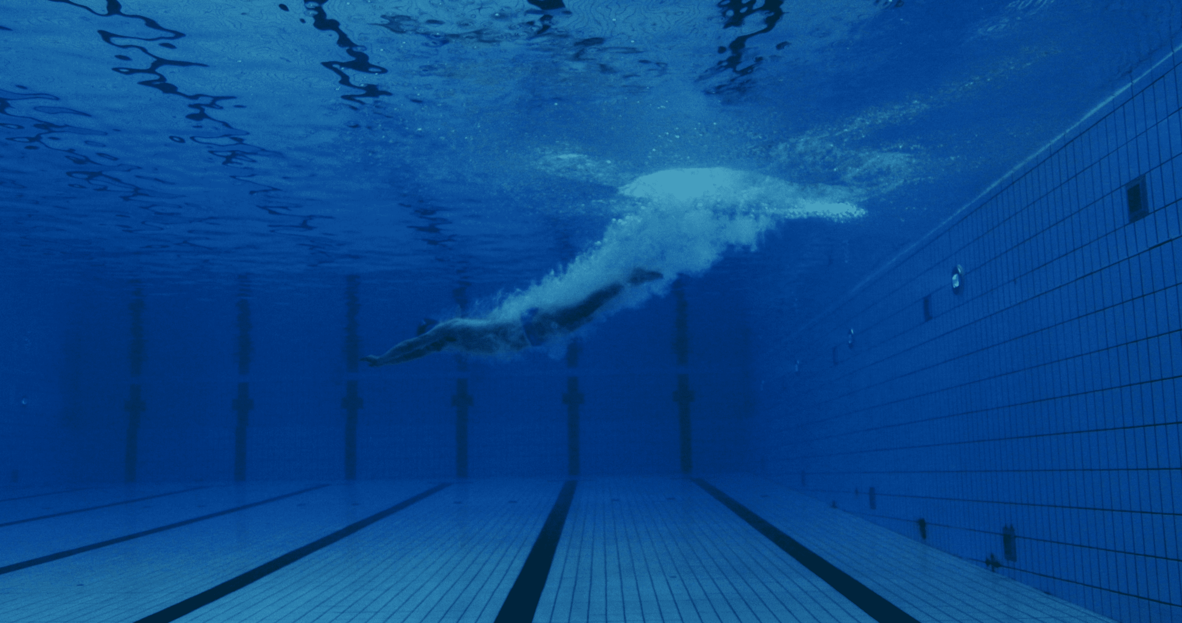 Portretvideo: Ruben Reimering - Greyt NL - Empower your financial future